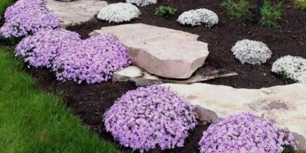 7 Fantastic Benefits of Mulching Flower Beds – Lumberjacks